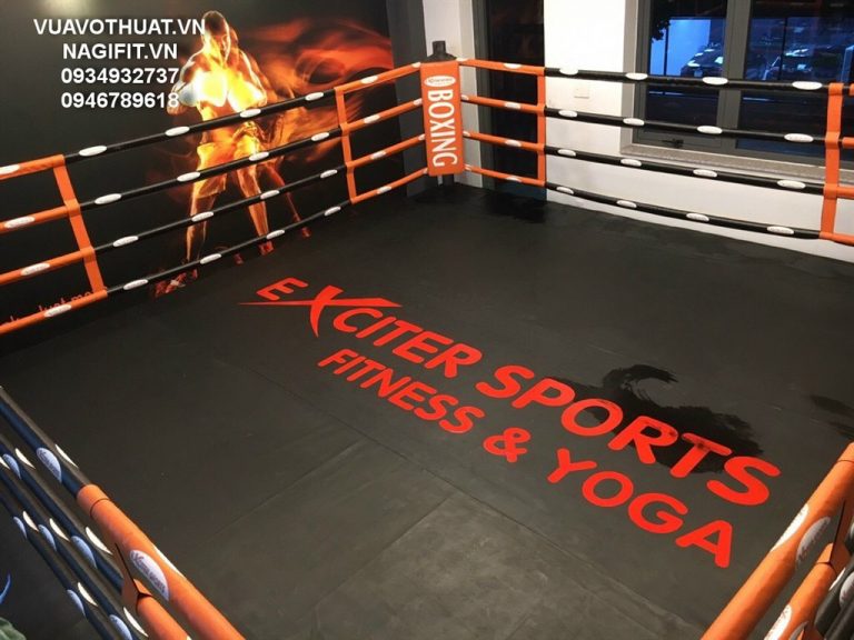 Sàn đài đấu Boxing | Kickboxing| Võ Cổ Truyền | Muay Thái | Tán Thủ ...